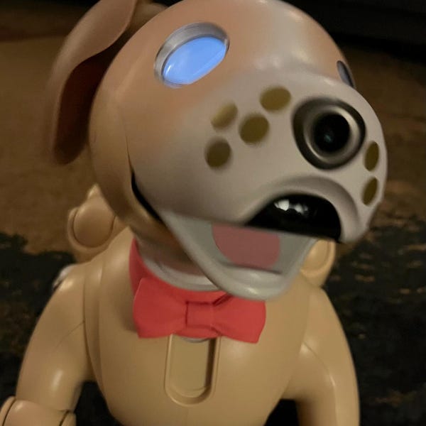 Vinyl AIBO Tongue Decals | ERS-1000, 7, 210, 11X - Etsy