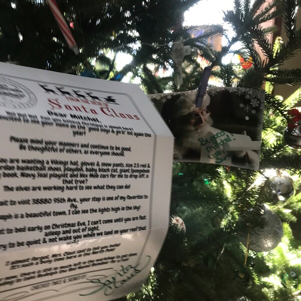 Avon Lady Vinyl Sticker Decal for Car Yeti Mascara 2.5 X 4 FREE ...