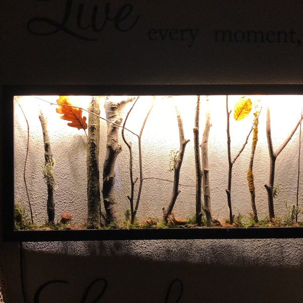 LED Table Lamp With Real Natural Elements - Etsy