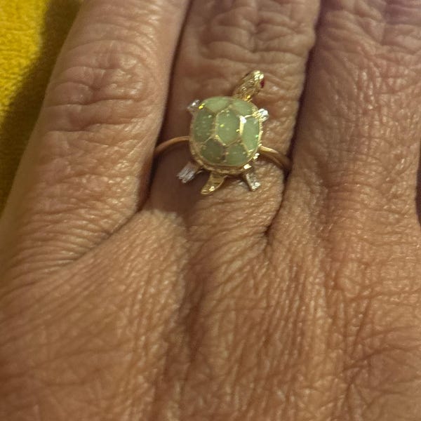 10k - 14k Solid Gold Earrings Turtle - Aretes En Oro De 10 O 14 Kilates ...
