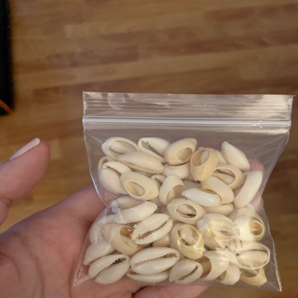 50 Medium Cowrie Shell, Natural Sea Shell - Money Shell Bead, Cut Back ...