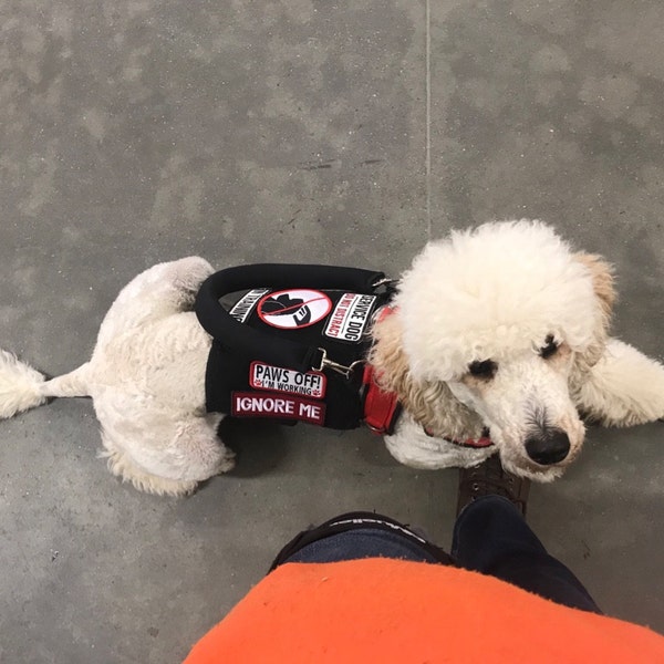 1 Patch, IGNORE ME, 5x2, Sew On, Customizable, Custom Embroidered Patch ...