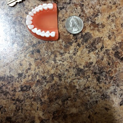 Graduating Tooth Sticker, Class of 2021,2022,2023, Dental Student Gift ...