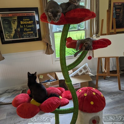EDEN Wood Floral Cat Tree Tower, Wooden Cat Tower, Modern Cat Climbing ...