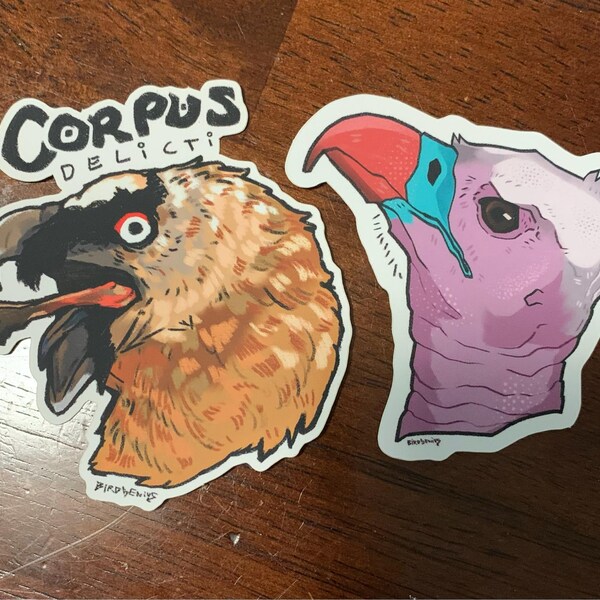 PREORDER California Condor Vinyl Matte Die Cut Sticker | Bird Lover ...