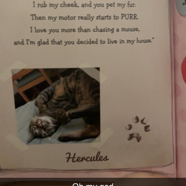 Personalized Pet Gift | Gift for Cat Lovers | Personalized Cat | If My ...