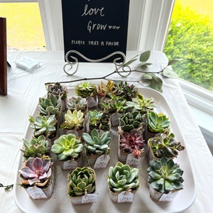 Congrats Gift Box for Her Way to Go Gift for Best Friend - Etsy