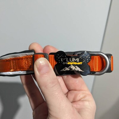 Engraved Dog Tag Personalized Dog Tag,slide on Dog Tag,silicone Dog Tag ...