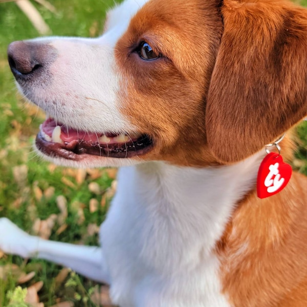 Cutest Dog Tags, Puppuccino Dog Tag, Pup Cup Starbucks, Id Tag, Custom ...