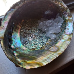 Abalone Shell, Large, Smudge Bowl, Cleansing an Smudging Seashell ...