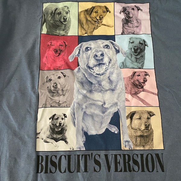 Customizable Eras Comfort Colors Tee, Eras Tour Gift for Dog Mom, Swift ...