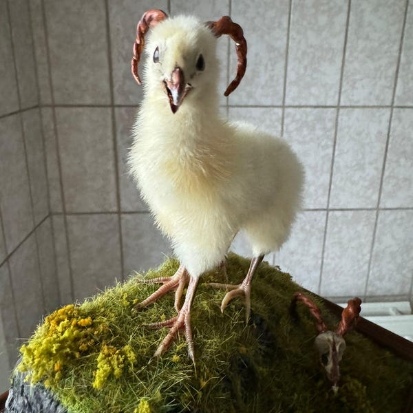 Made to Order. Caspers Creatures Magic Litlle Giraffe Chicken -mature ...