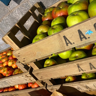 4 Vintage Retro Wooden Potato Chitting Trays or Bushel Boxes - Etsy UK