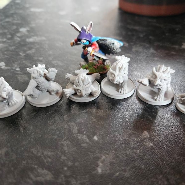Owlin | Owlrakokra | Owlfolk | Aarakokra Druid I Wizard I Sorcerer ...