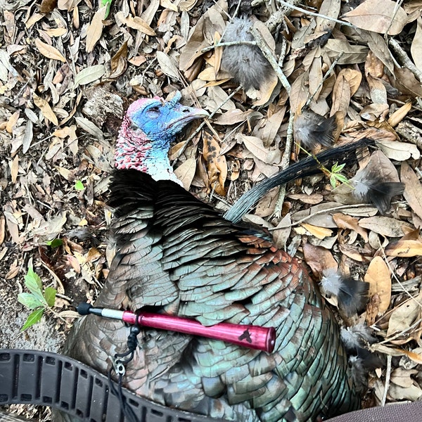 Custom Turned Spalted Birch Wood Tube Call Without the Half Moon Cut ...