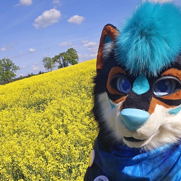 Natural Colored Female Girl AWD African Wilddog Dog Hyena Yeen Fursona ...