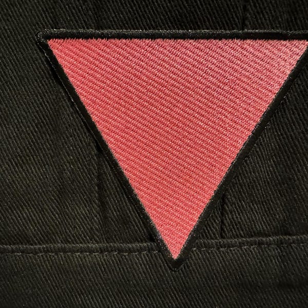 Pink Triangle - Gay and Lesbian LGBTQ Support Pride Symbol - 4 Inch ...