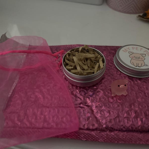 100 Duck Challenge Kit, Hide-a-duck Kit, Miniature Duck Scavenger Hunt ...