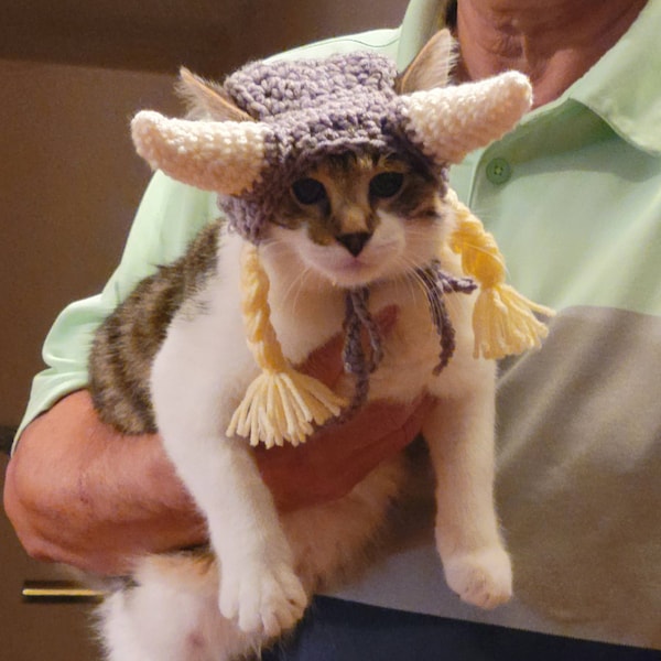 Brunhilde, Vikings, Valkyries, Wagner Opera, Hats for Cats, Pet Hats ...