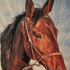 Custom Made Cross Stitch Pattern Photo Realistic Cross Stitch Pattern ...