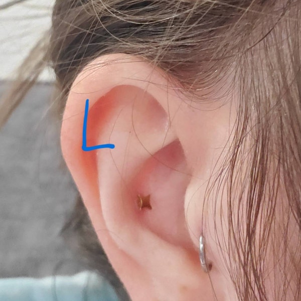 18G/20G • 5mm SUPER TINY Cartilage Hoop • 5mm Hinged Clicker Hoop ...