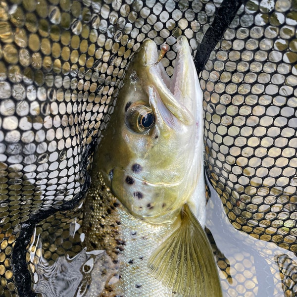 3x White Angel Streamer - Etsy