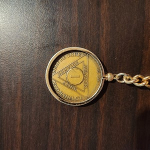 AA Medallion Keychain Chip Holder Fits 33x3mm Recoverychip Reflex ...