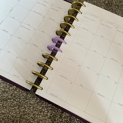 BIG HAPPY PLANNER Printable Insert, Monthly Undated, Happy Planner Big ...