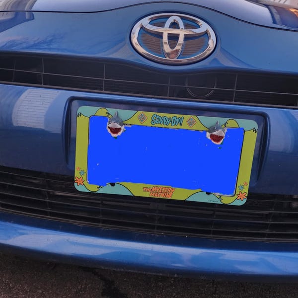 Lady Bug License Plate Screws - Etsy