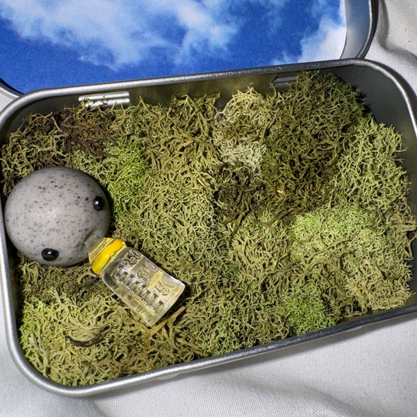 Adopt a TINY PEBBLE PAL W/ Crystal Moss Cork Jar Home Handmade Tiny ...