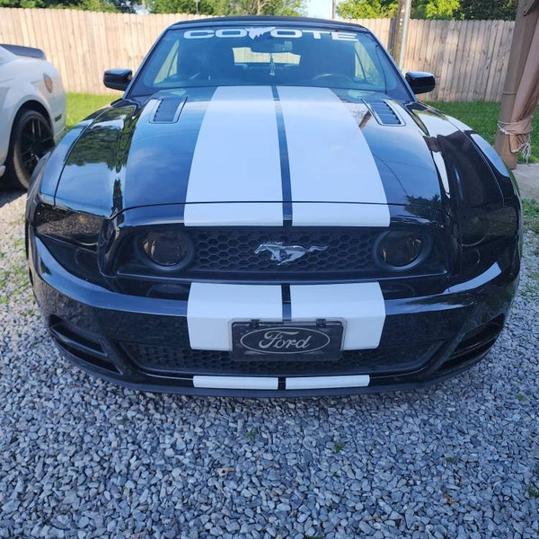 Angry Hornet Taillight Divider Blackout Decal Kit Fits Dodge Challenger ...