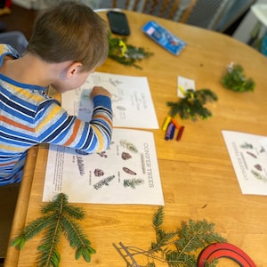 THE FOREST Nature Journal Charlotte Mason Homeschool Printable Nature ...