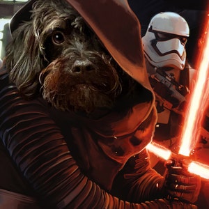 Custom Kylo Ren Pet Portrait . Star Wars Pet Portrait . Custom Pet ...