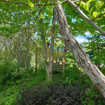 Colorful Sea Glass Ocean Tumbled and Machine Tumbled Mix W/ Antiqued ...