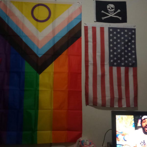 DIGITAL FILE: Printable Extended Pride Flag Reference Guide - Includes ...