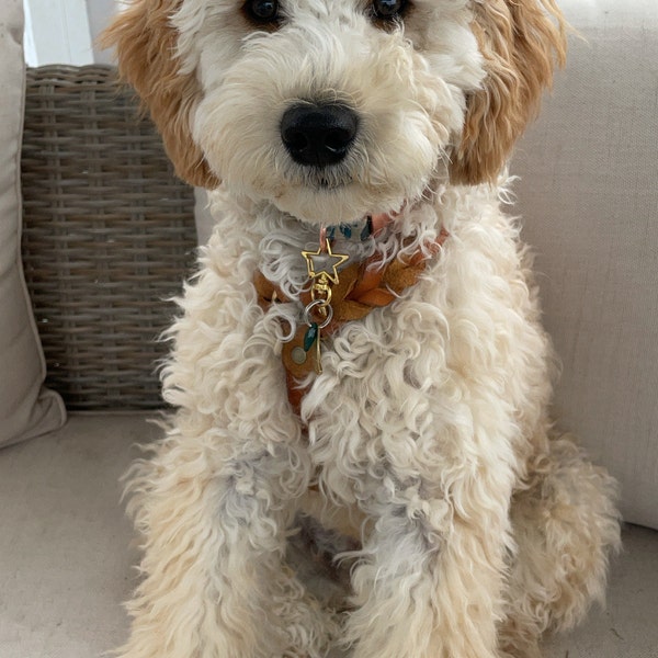 BIOTHANE DOG HARNESS, Large Breeds Training Harness, Biothane Beta ...