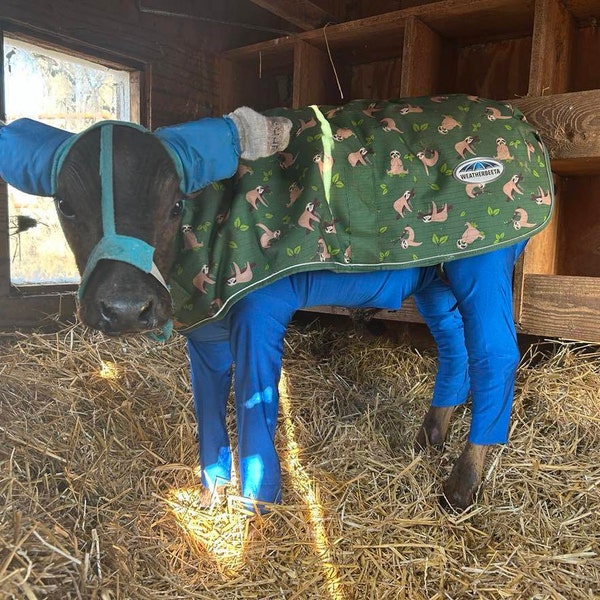 Aztec Western Lamb Leg Tubes - Etsy