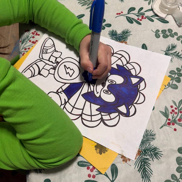 Disguise a Turkey Project Kit | Sonic Turkey Disguise | Kids ...