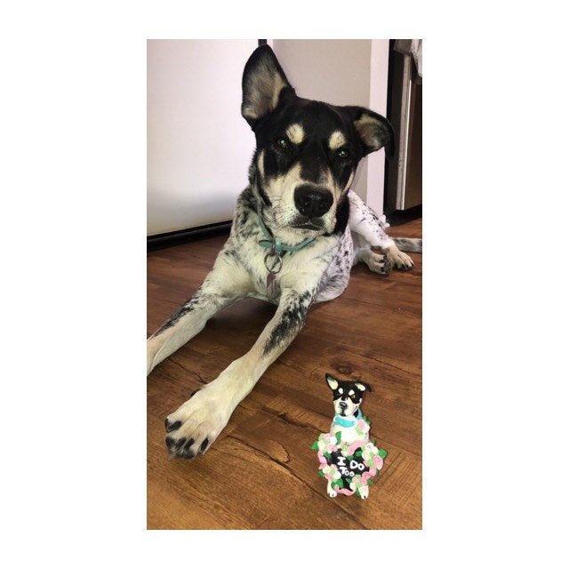 Ms Crafty Creatures ....Custom Handmade Pet by Mscraftycreatures