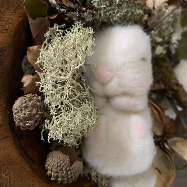 Forest Floor Kit, Forest Findings, DIY Kit for Adults, Nature Mystery ...