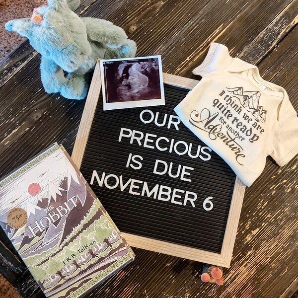Another Adventure Onesie®, Fantasy Baby Announcement, Adventure ...