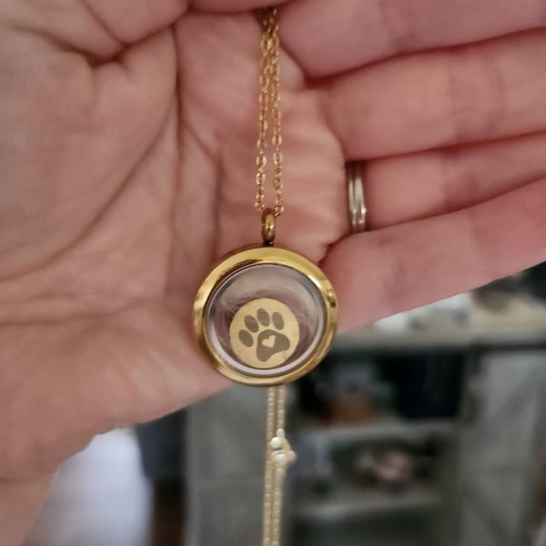 Custom Pet Hair Keepsake Cremation Jewelry Glass Locket Memory Keepsake ...