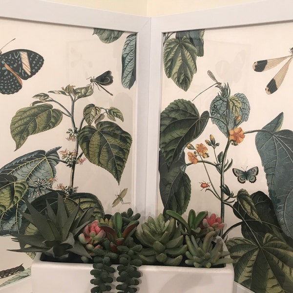 Nature Study Collage No. 23, Botanical Print Set, Art, Giclee, Prints ...