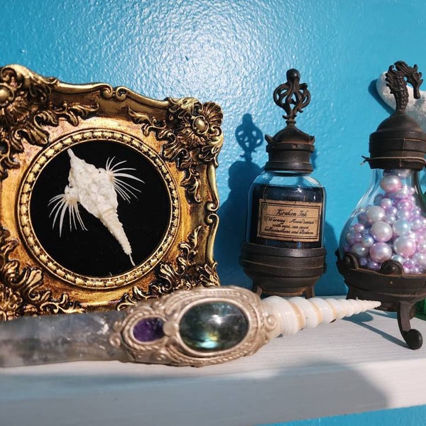 Real Lionfish Skeleton, Dendrochirus, Fish Taxidermy, on Queen Chess ...