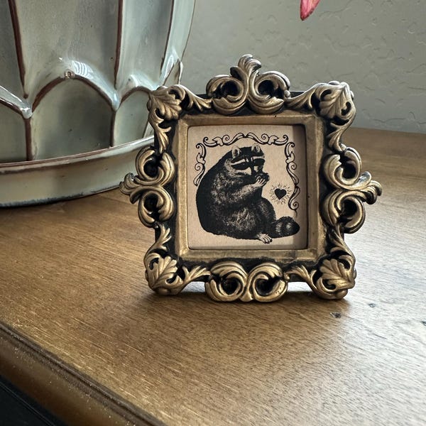 Raccoon Print in Baroque Frame: Vintage Style Mini Art - Etsy