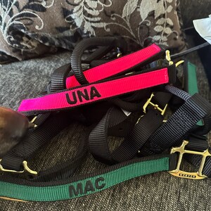 Personalized Nylon Sheep Halter - Etsy