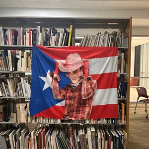 Twice Momo Pink Flag Banner, Twice Momo Kpop American Flag Tapestry ...