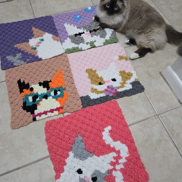CROCHET PATTERN BUNDLE, Catghan C2C Blanket Pattern, Cat Blanket ...