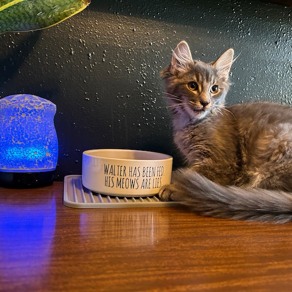 Funny Cat Food Bowl, Ceramic Pet Bowl - Etsy