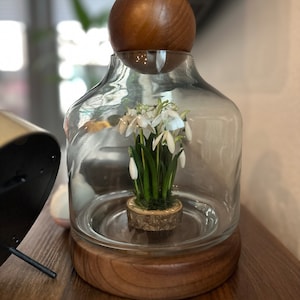 Snowdrop, Cold Porcelain Flowers, Real Touch Flowers, Artificial ...